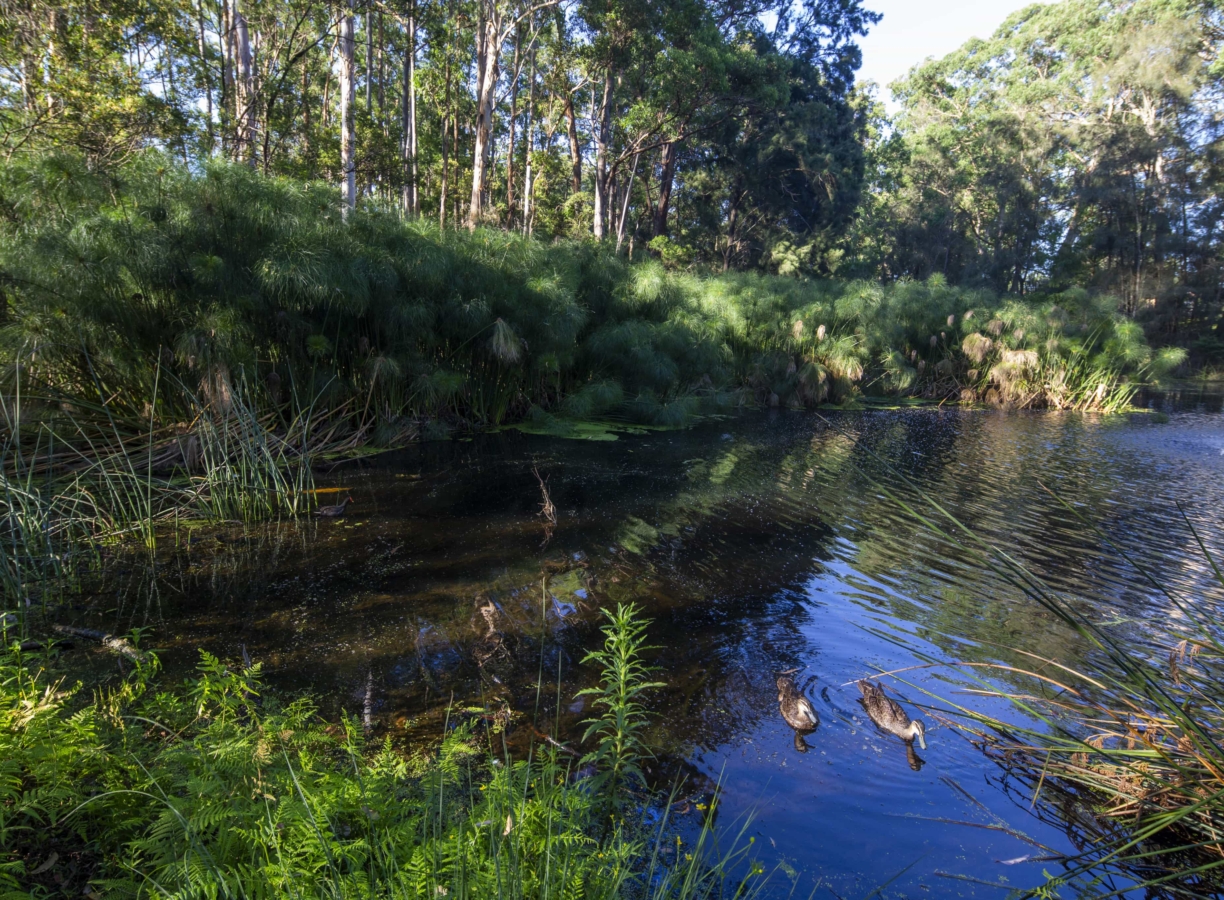 Cherrybrook - Trans-Ax Health Care